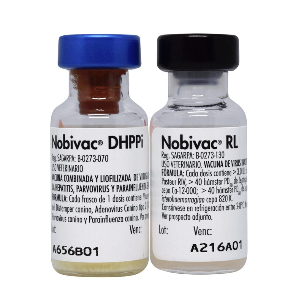 Vacuna Sextuple Nobivac DHPPI +RL