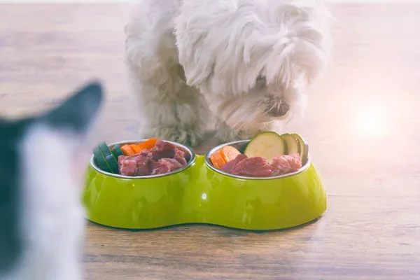 Dieta BARF para perros en Perú: qué es, beneficios, riesgos y cómo ...